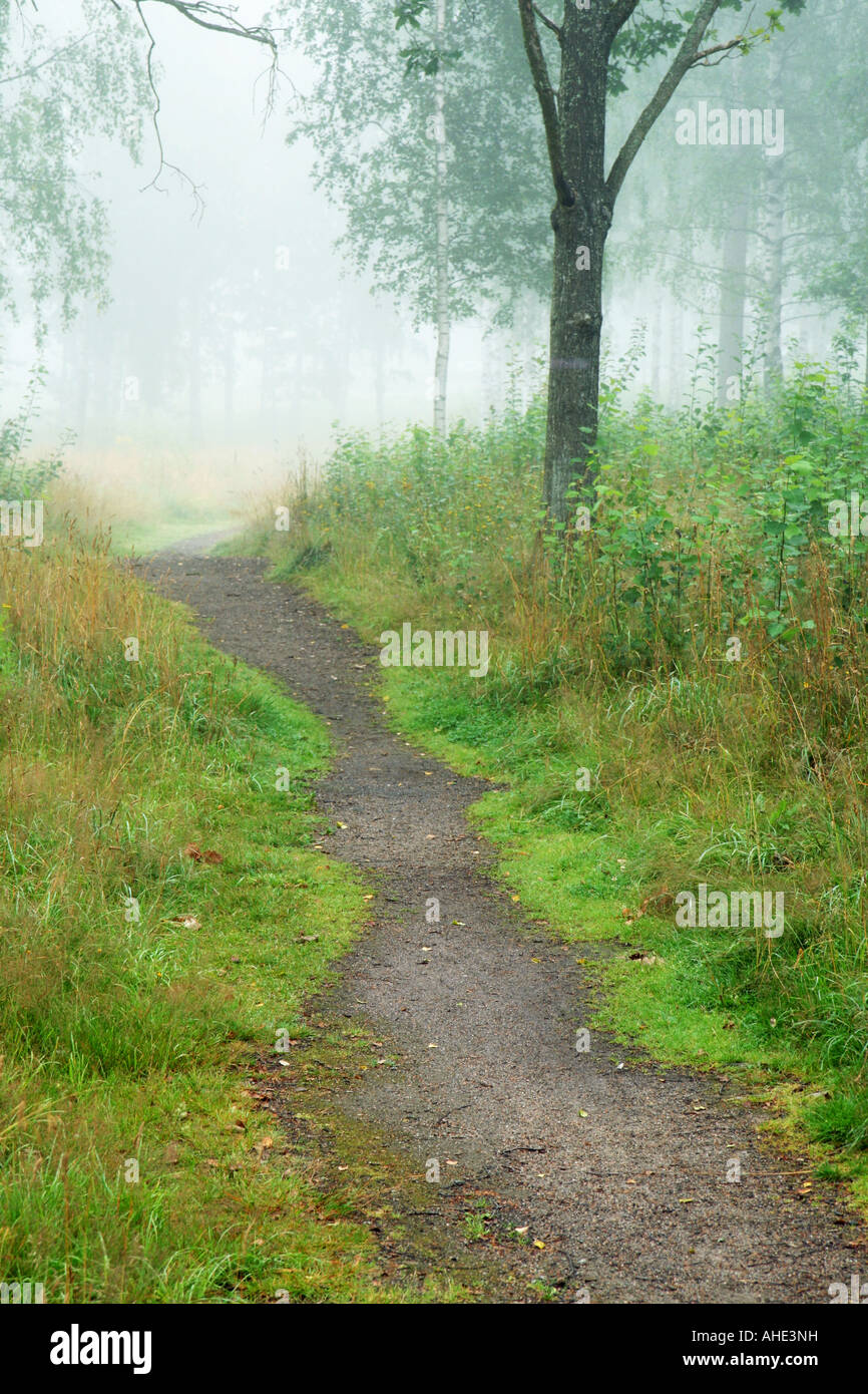 Path leading into the fog Stock Photo - Alamy