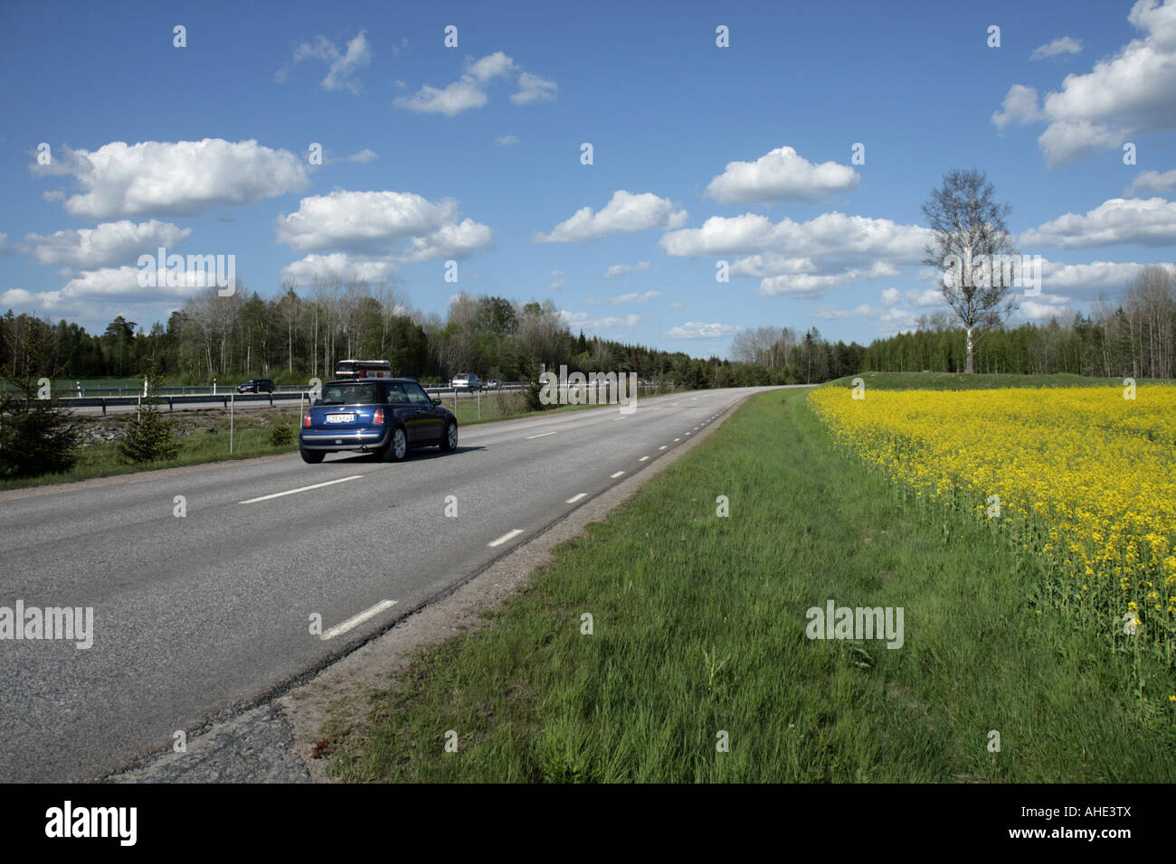 Car driving on a road in Sweden besides a yellow rapefield Stock Photo ...