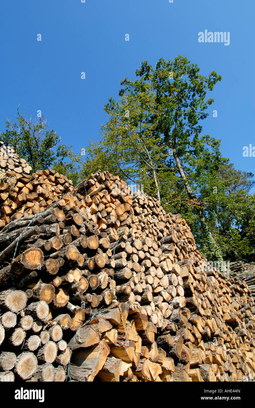 Log pile stack hi-res stock photography and images - Alamy