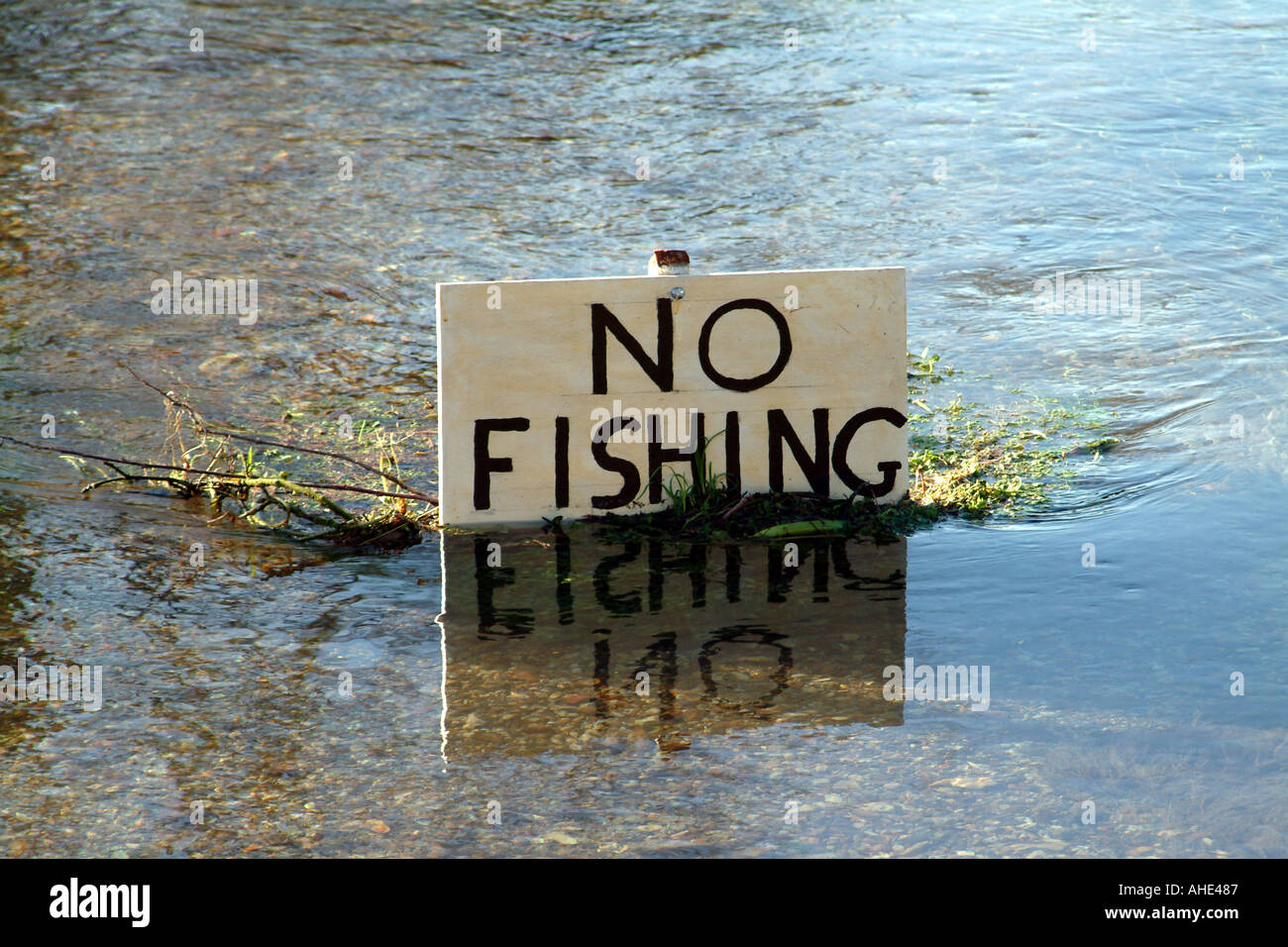 No Fishing Sign on River Dever in Hampshire England UK Stock Photo - Alamy