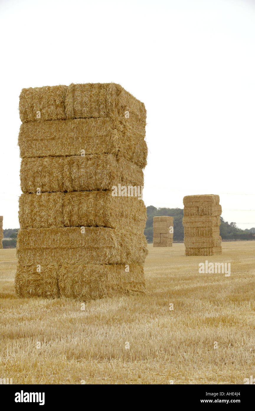 Stack of large straw bales in farming field Stock Photo - Alamy
