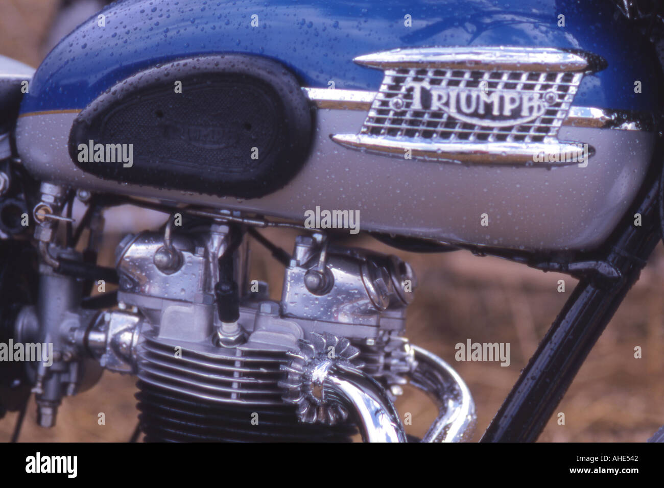 Triumph motorcycle petrol tank Stock Photo - Alamy