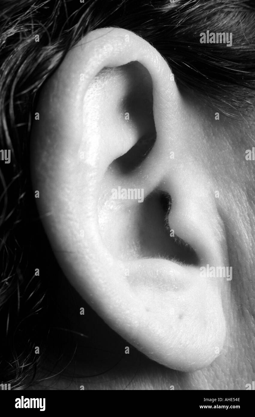 Ear lobe white black hi-res stock photography and images - Alamy