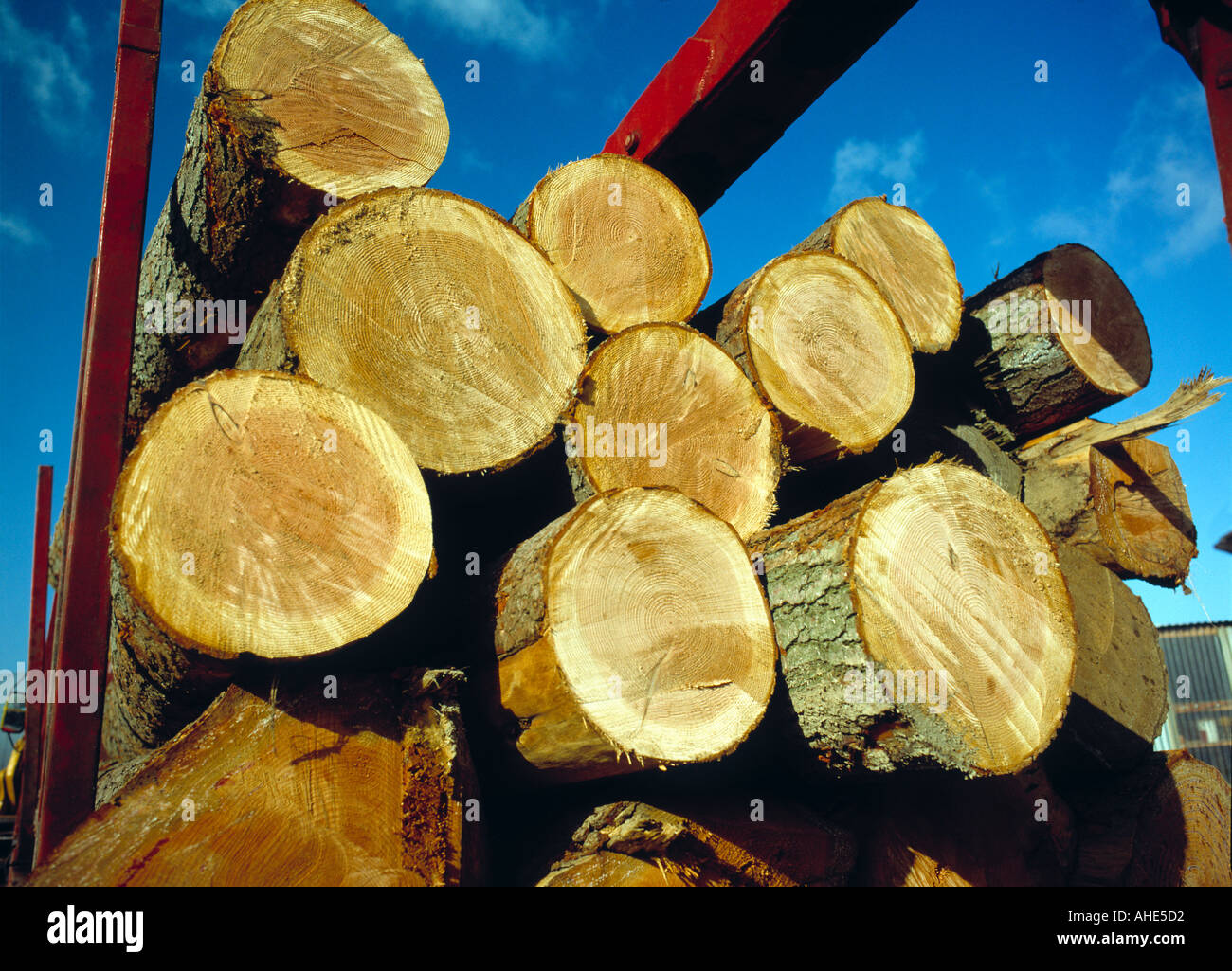 Tree trunk logs ready for cutting into timber Stock Photo - Alamy