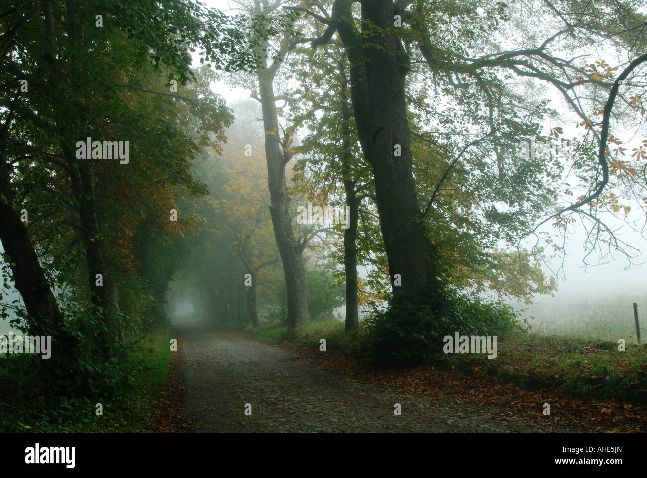 autumn cobblestone driveway Stock Photo - Alamy