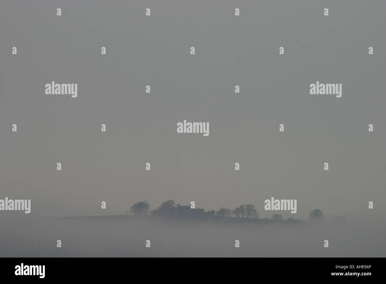 Breaking through the mist Stock Photo - Alamy