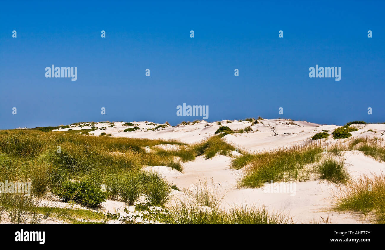 Large Sand-Dune area and small town in the corner, by the Ocean Stock ...