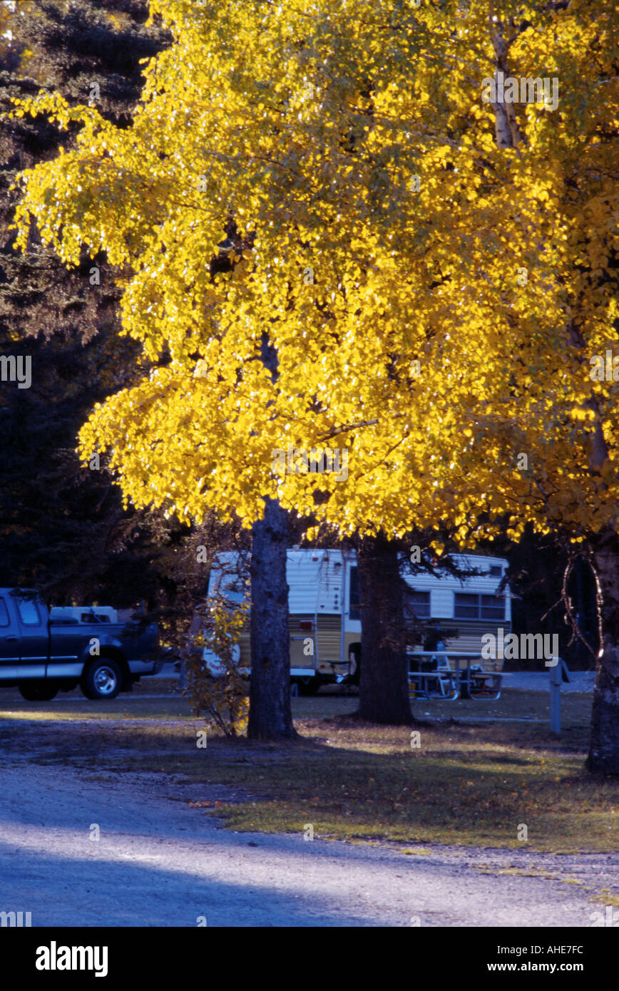 Albert fall hi-res stock photography and images - Alamy