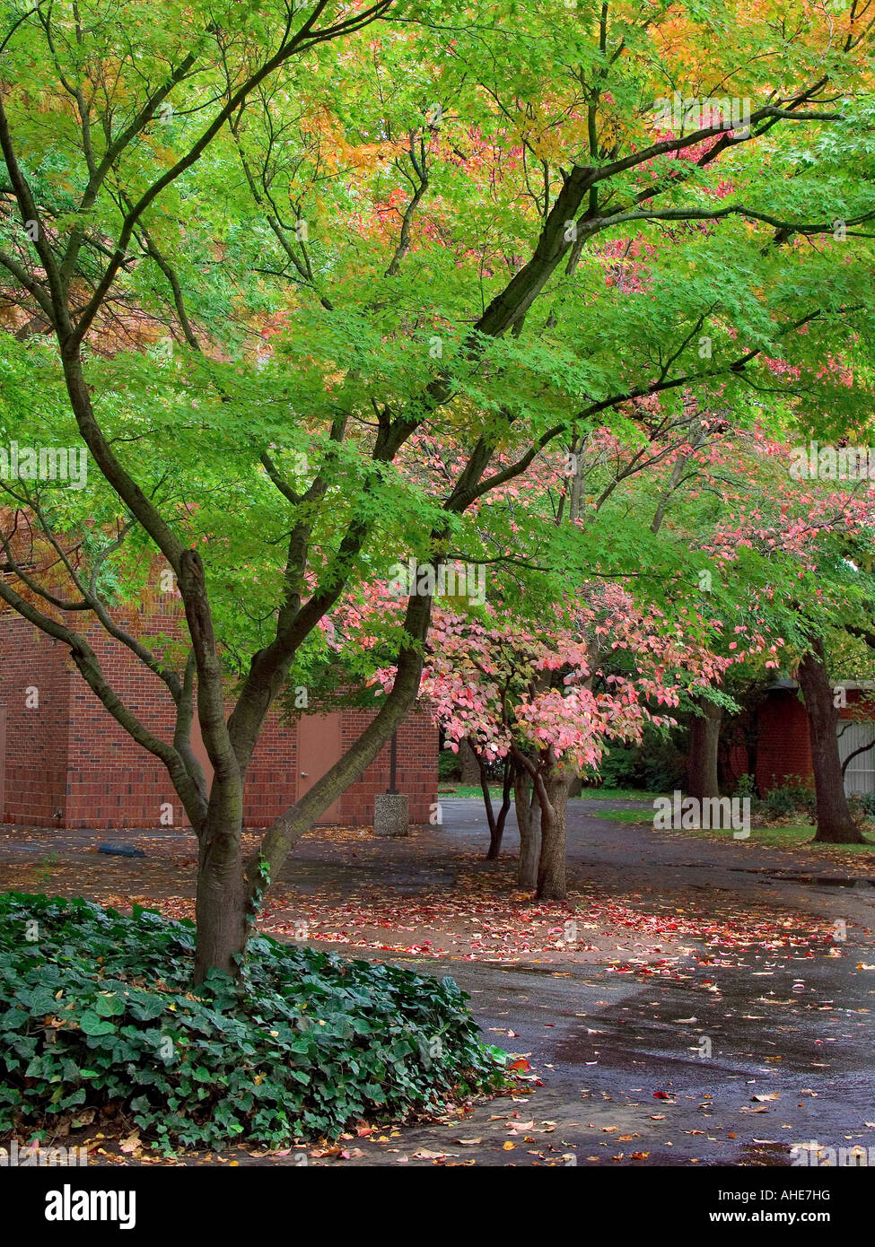 Csu, chico hi-res stock photography and images - Alamy