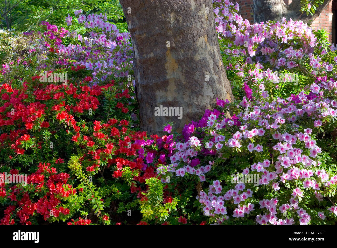 Chico state university hi-res stock photography and images - Alamy