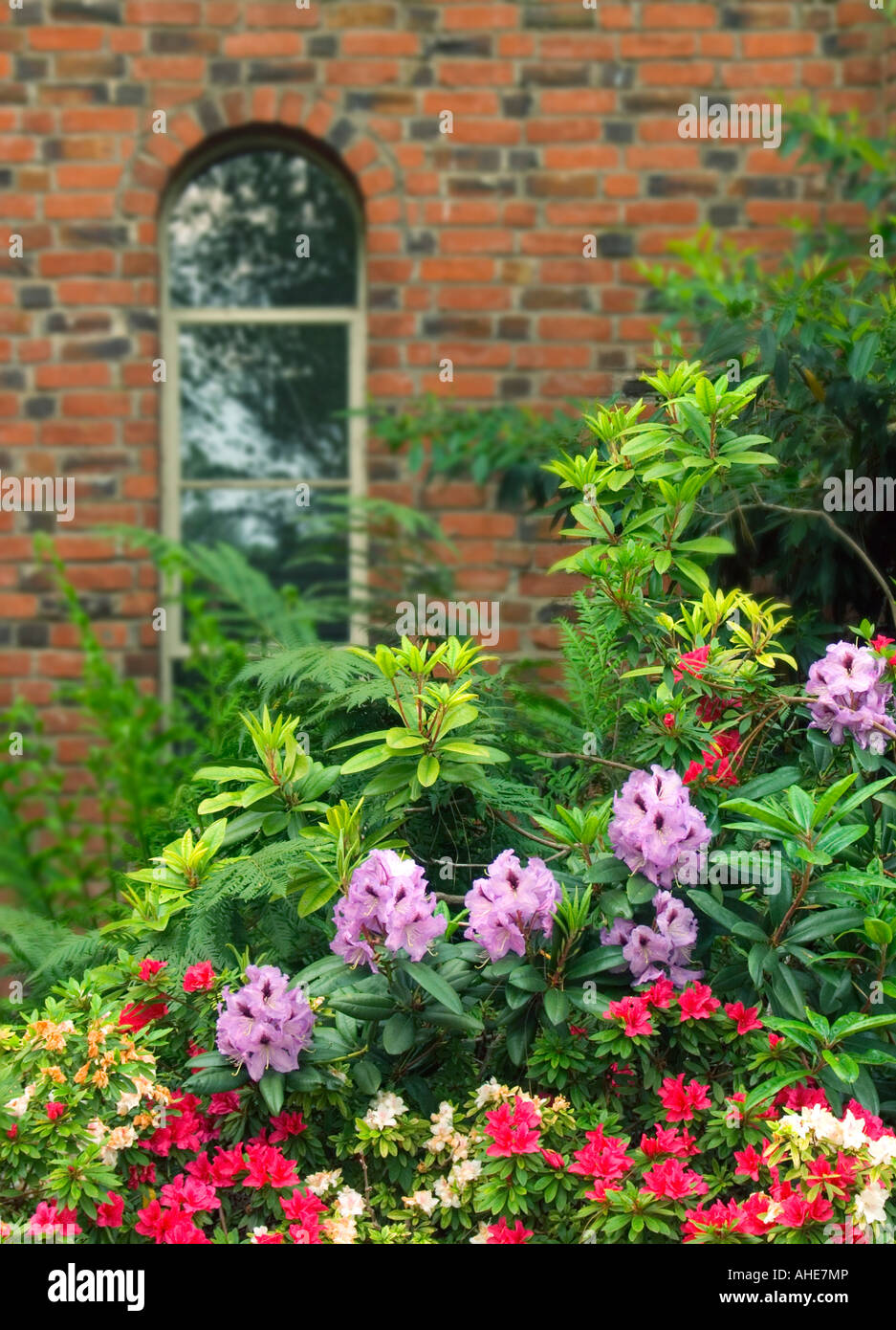 California State University Chico campus in the spring Stock Photo - Alamy