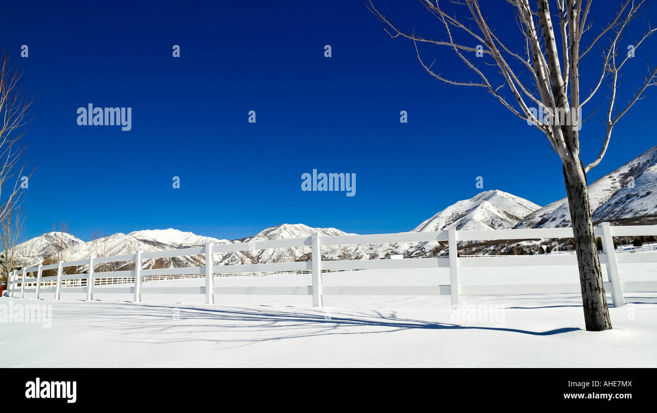 Winter scene of a stable Stock Photo - Alamy