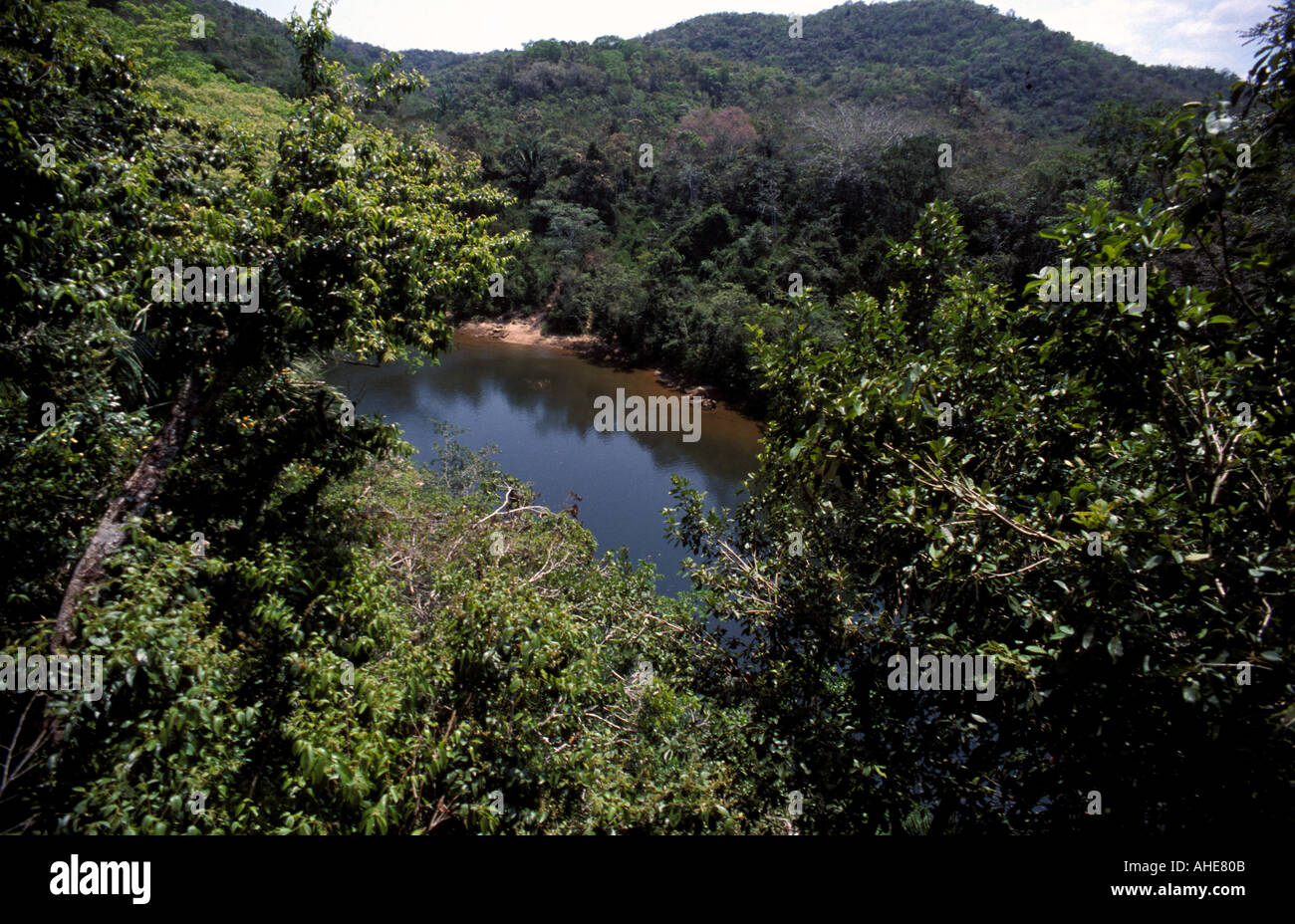 Macal river belize hi-res stock photography and images - Alamy