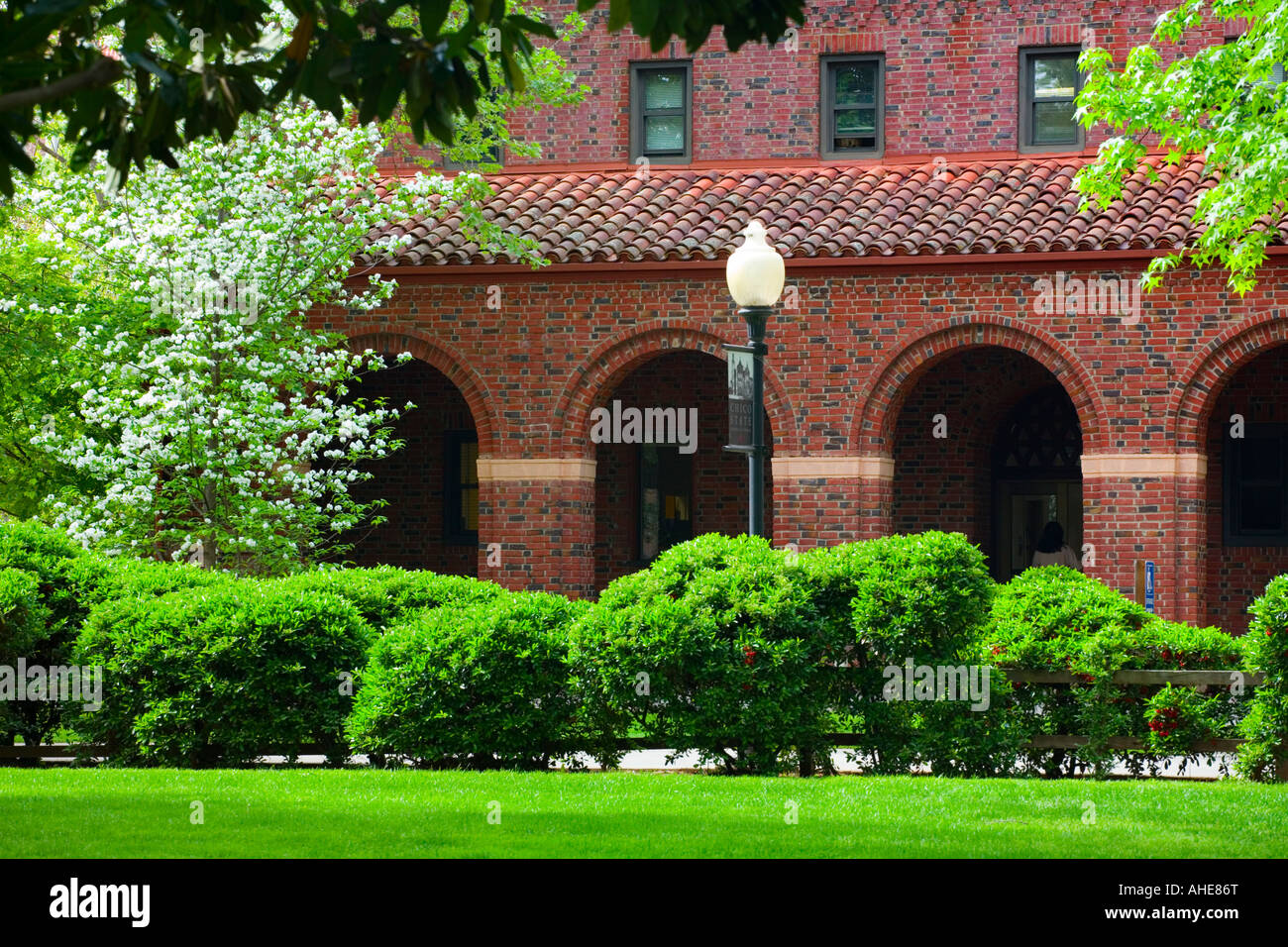 California State University Chico campus in the spring Stock Photo - Alamy