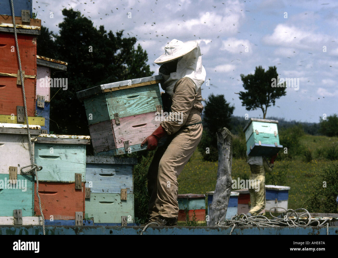 Beekeepers arriving at fields on Chiloe island off the coast of Chile ...