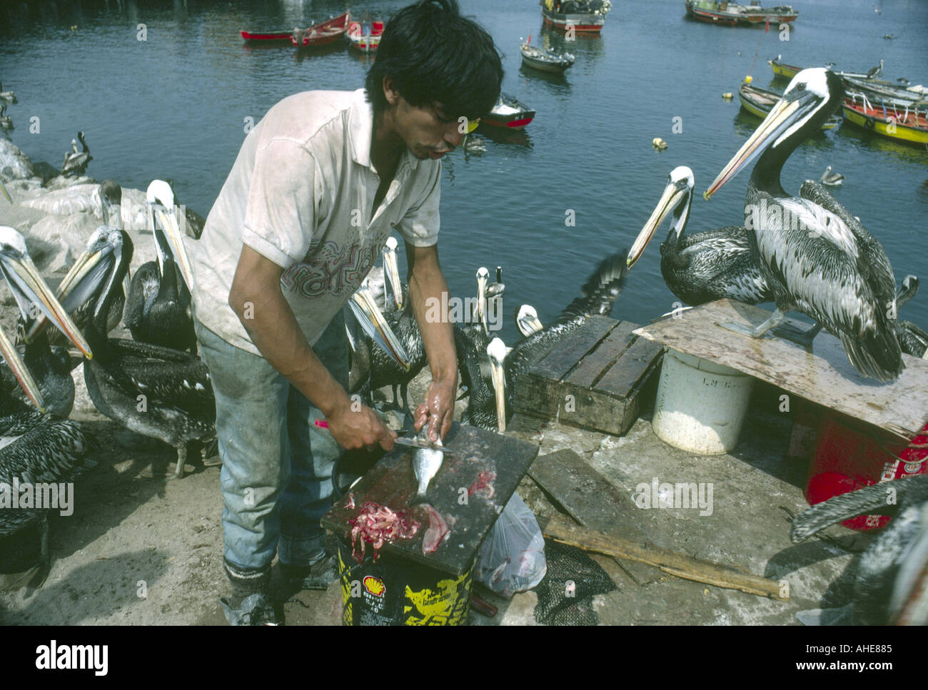 Fish on dockside hi-res stock photography and images - Alamy