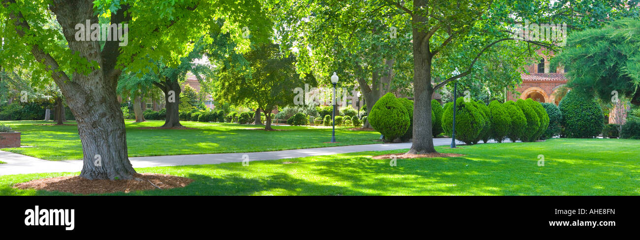 California State University Chico campus in the spring Stock Photo - Alamy