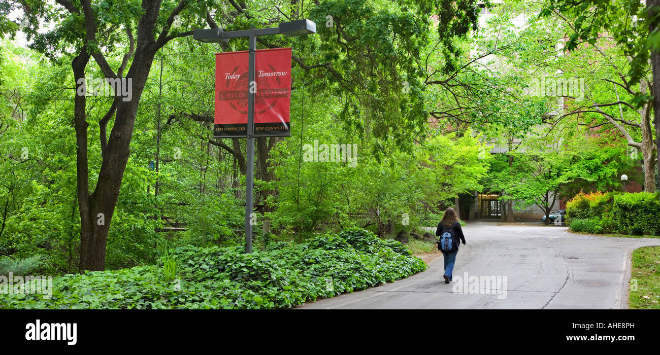 Chico state university hi-res stock photography and images - Alamy