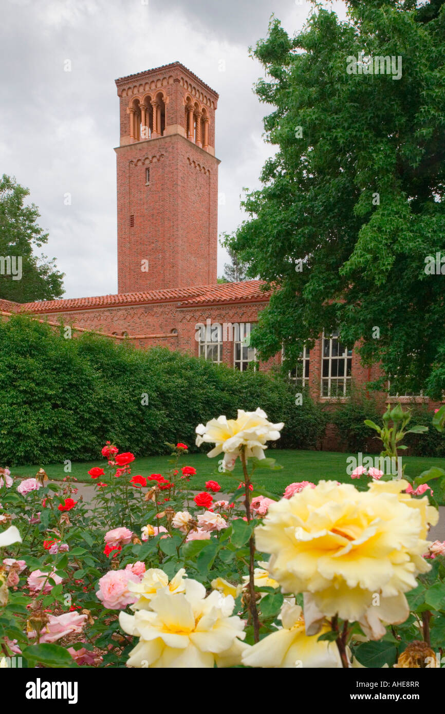 California State University Chico campus in the spring Stock Photo - Alamy