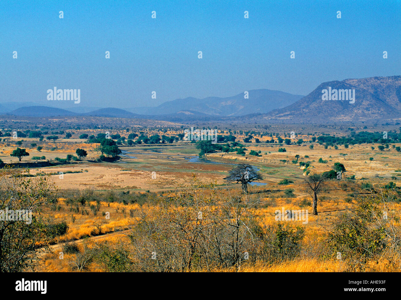 Ruaha river, Ruaha National Park, SW Tanzania Stock Photo - Alamy