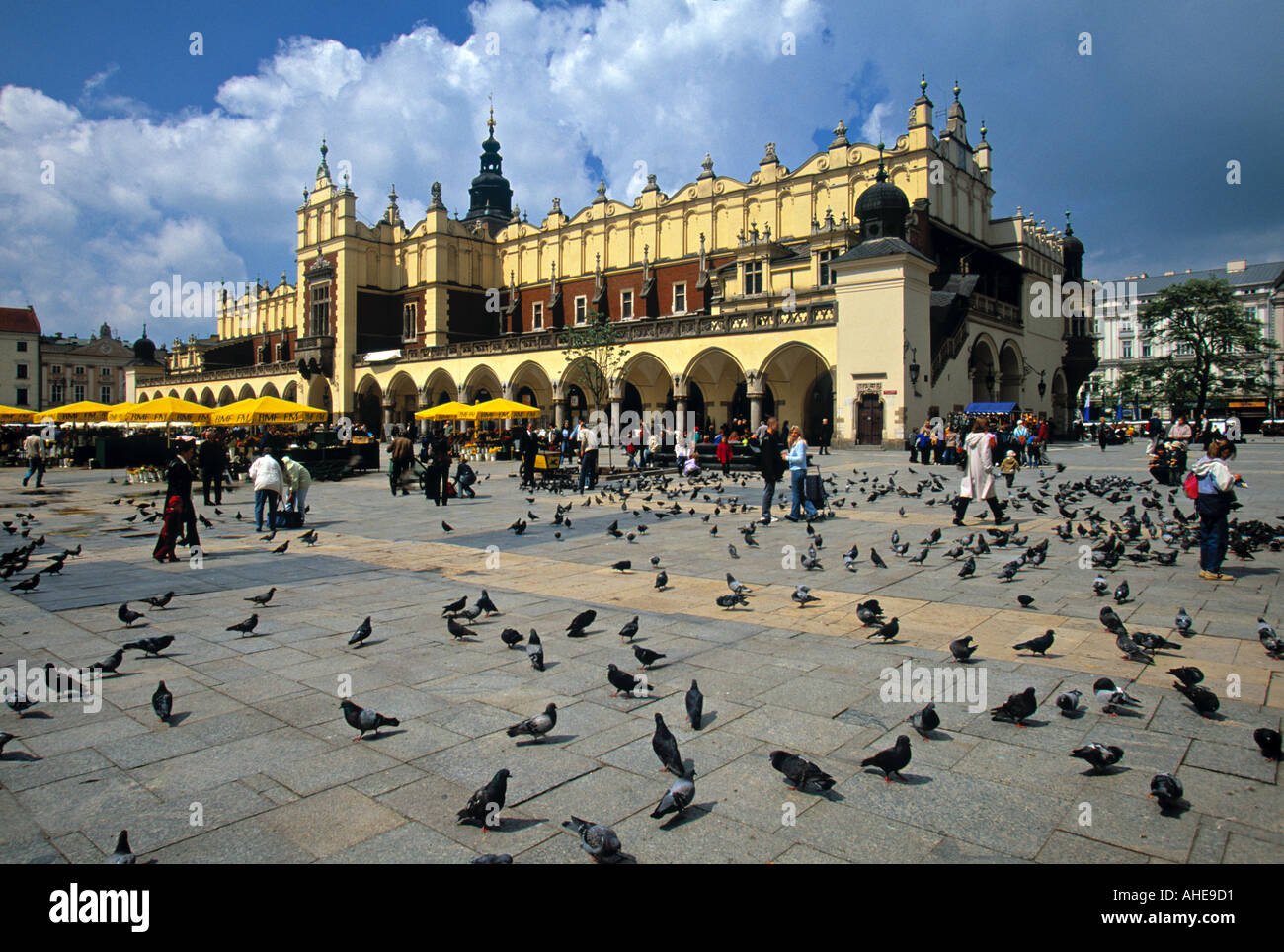 Sukiennice hi-res stock photography and images - Alamy