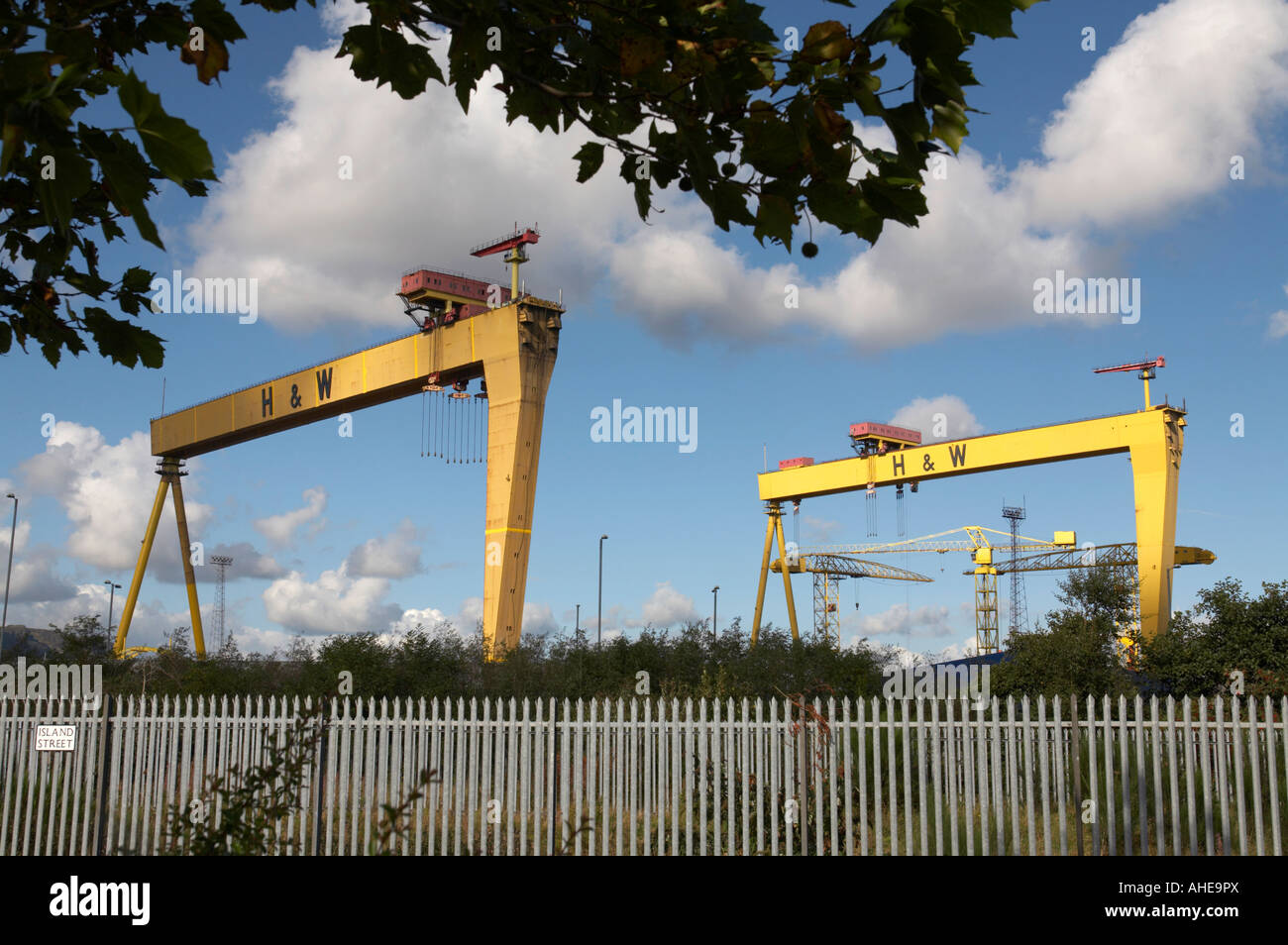 The Harland and Wolff cranes Samson and Goliath towering over Belfast ...