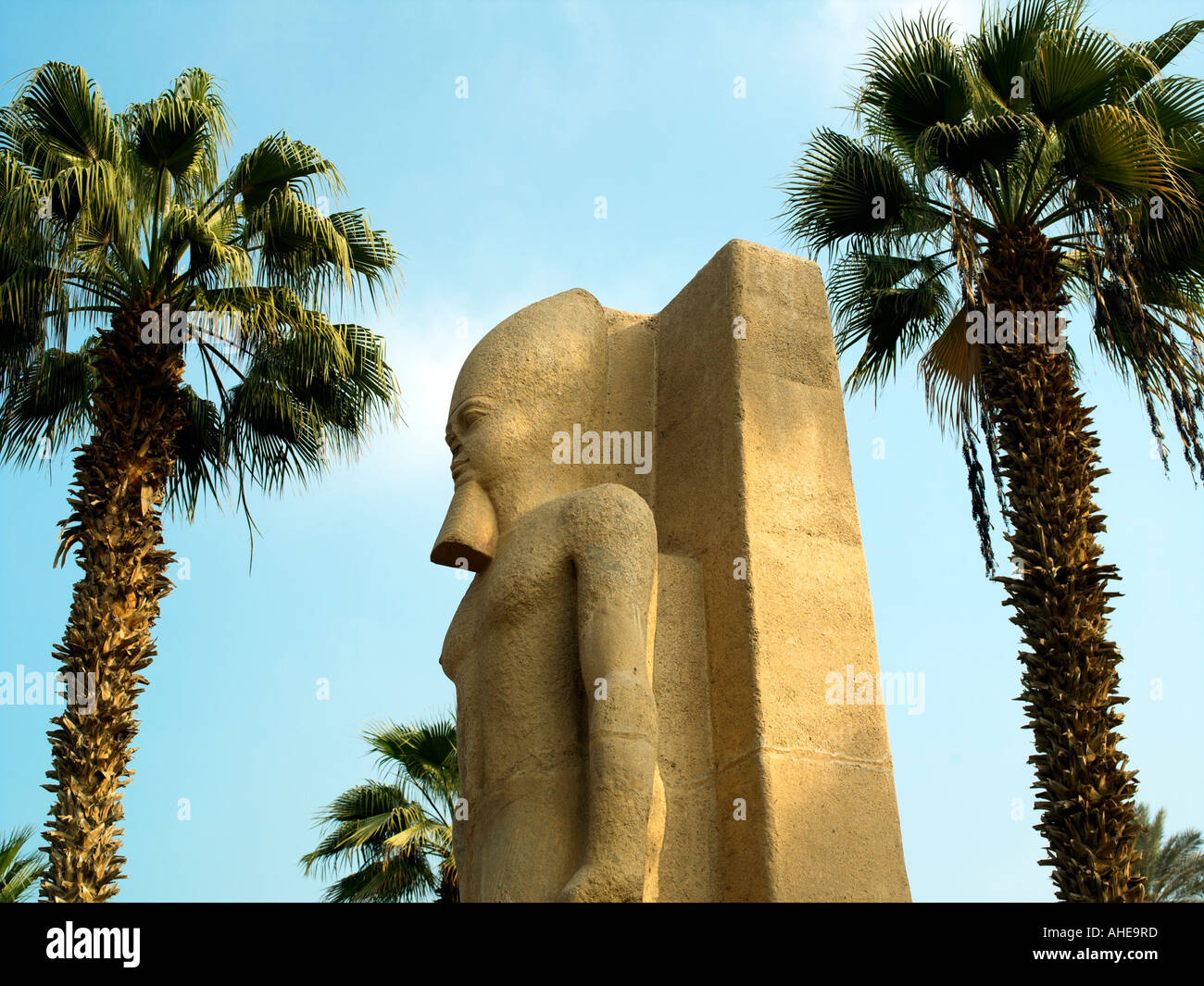 Statue of Ramses II at Memphis Stock Photo - Alamy