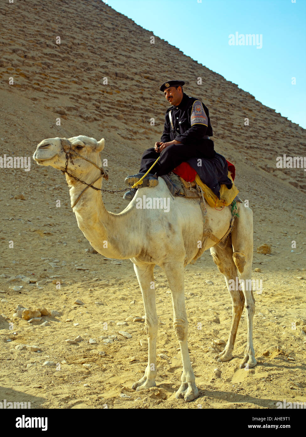 Camel mounted hi-res stock photography and images - Alamy