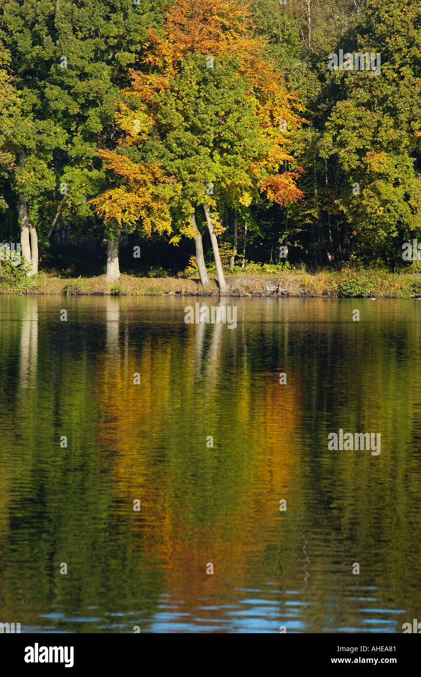 Colorful trees reflection in a lake Stock Photo - Alamy