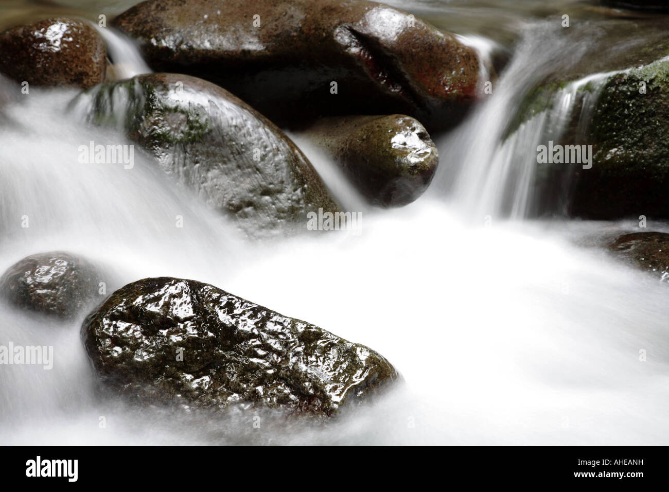 Stream and rocks Stock Photo - Alamy