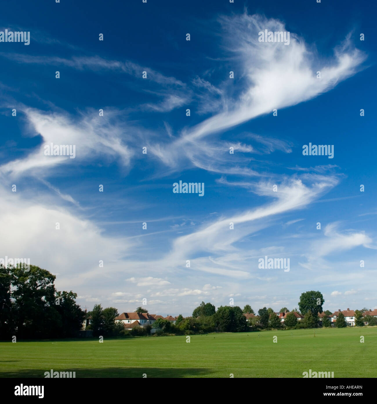 Residential houses beside Manor Park Recreation Ground in Worcester ...