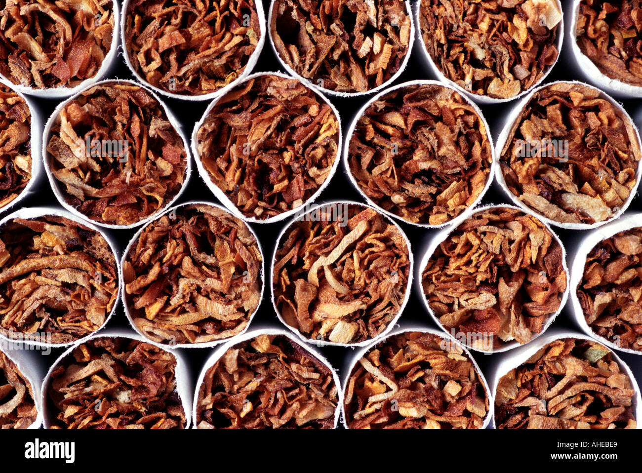 Close up of the ends of cigarettes Stock Photo - Alamy