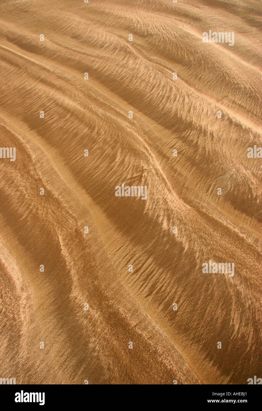 Sand Ripples on a Beach Stock Photo - Alamy