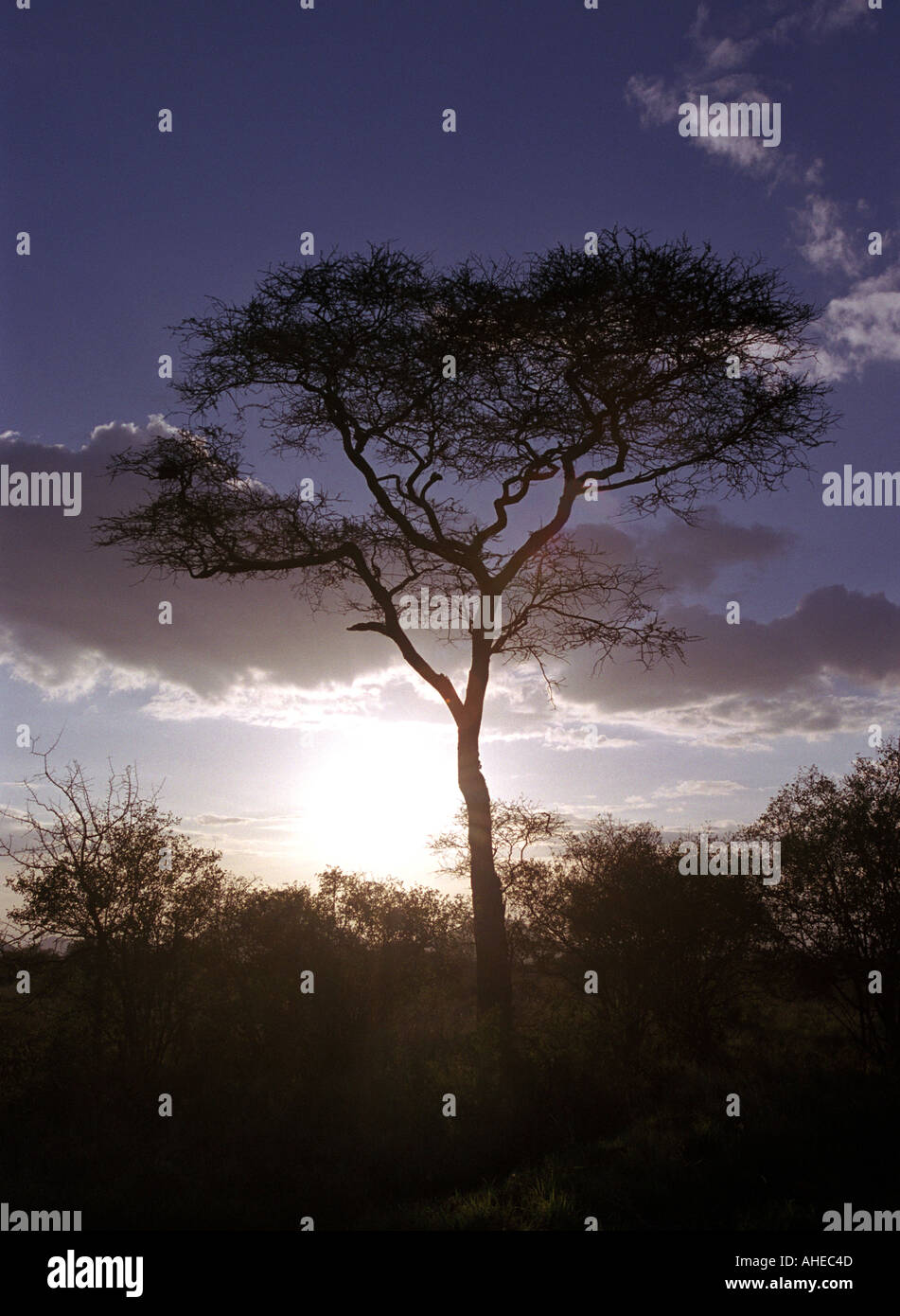 Sunset in Kenya East Africa Stock Photo - Alamy