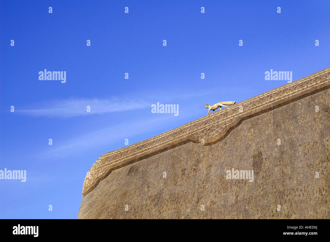 Fox on roof hi-res stock photography and images - Alamy