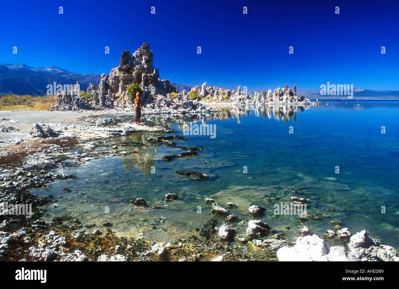 Mono Lake Sierra Nevada Mountains with tufa spires of calcium carbonate ...