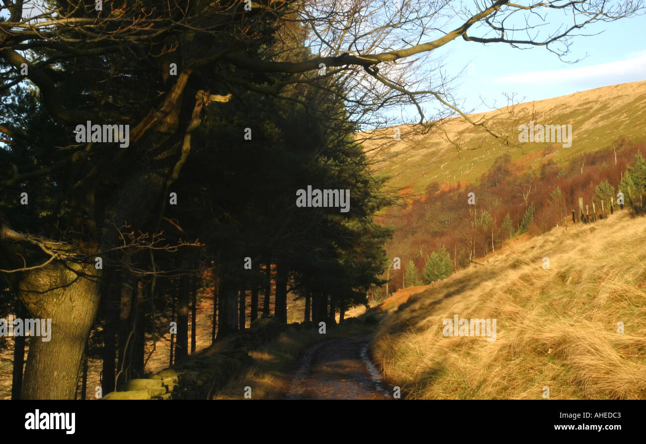 Howden Moor Stock Photos & Howden Moor Stock Images - Alamy
