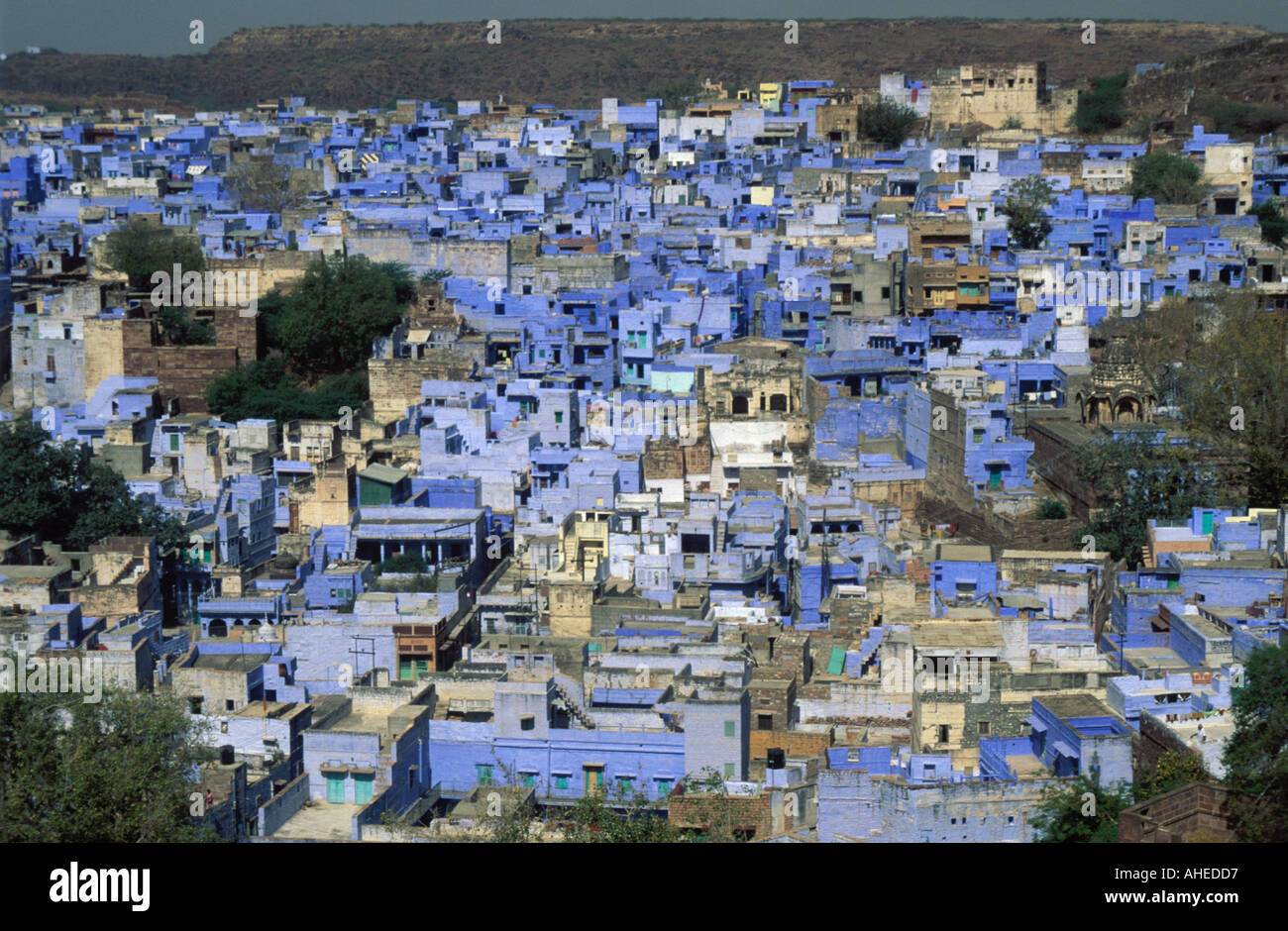Traditional indigo blue houses Jodhpur Rajasthan India Stock Photo - Alamy