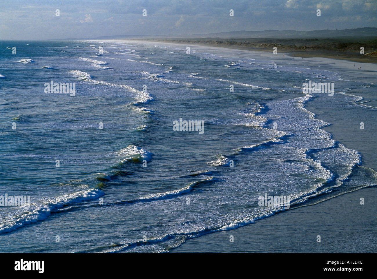 waves breaking on the beach at Murawai west coast of North Island New ...
