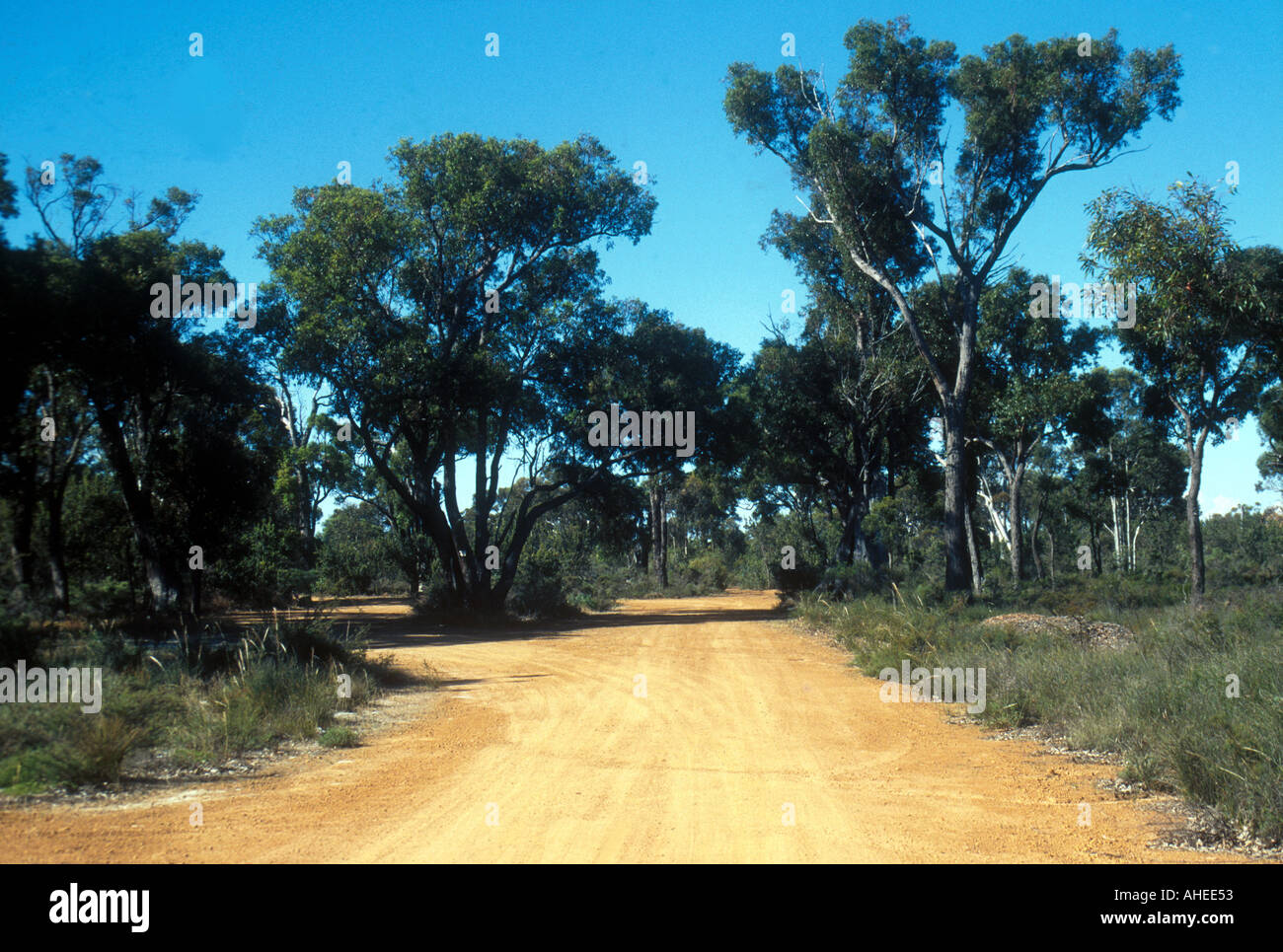 Unsealed road in the Western Australia outback Stock Photo - Alamy