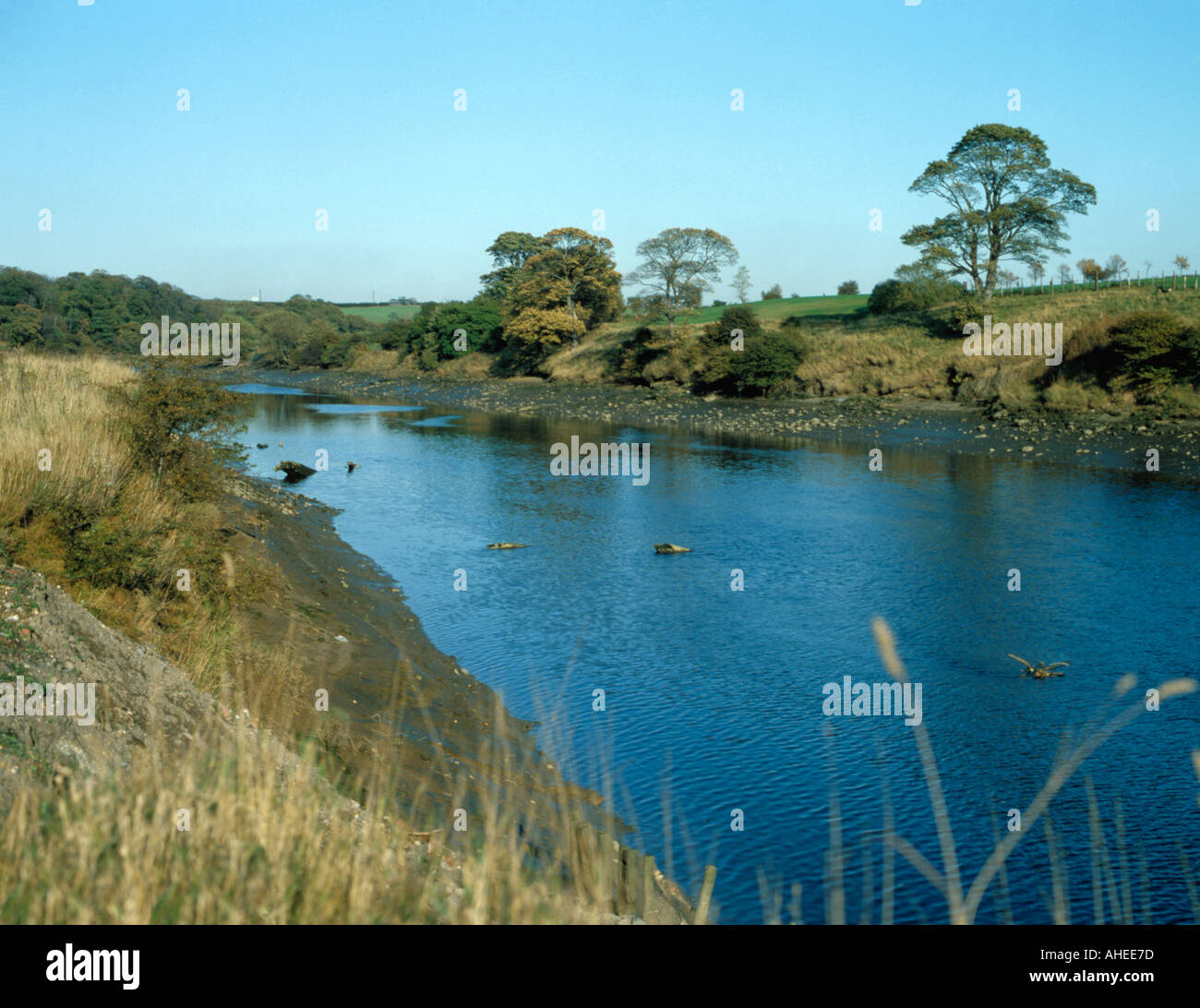 General view of a tidal section of the River Wear at low tide, View ...