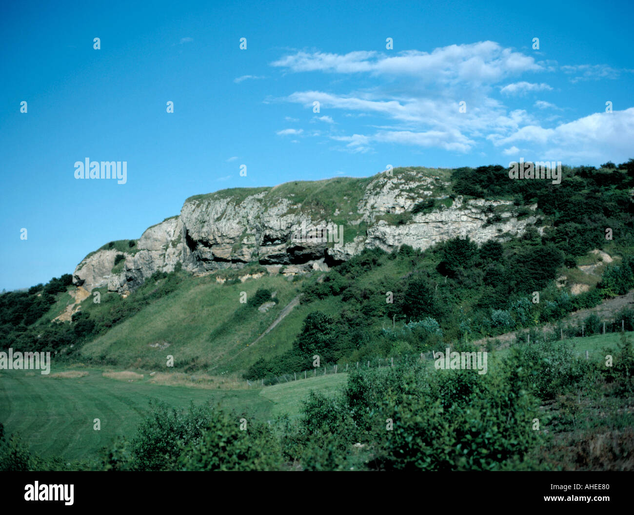 Claxheugh Rock (a magnesium limestone outcrop), Sunderland, Tyne and ...