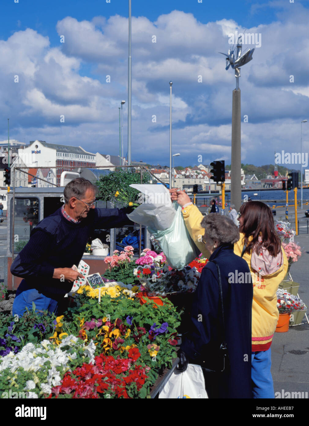 Flower stall, Torget (Market Place) with harbour beyond, Stavanger ...