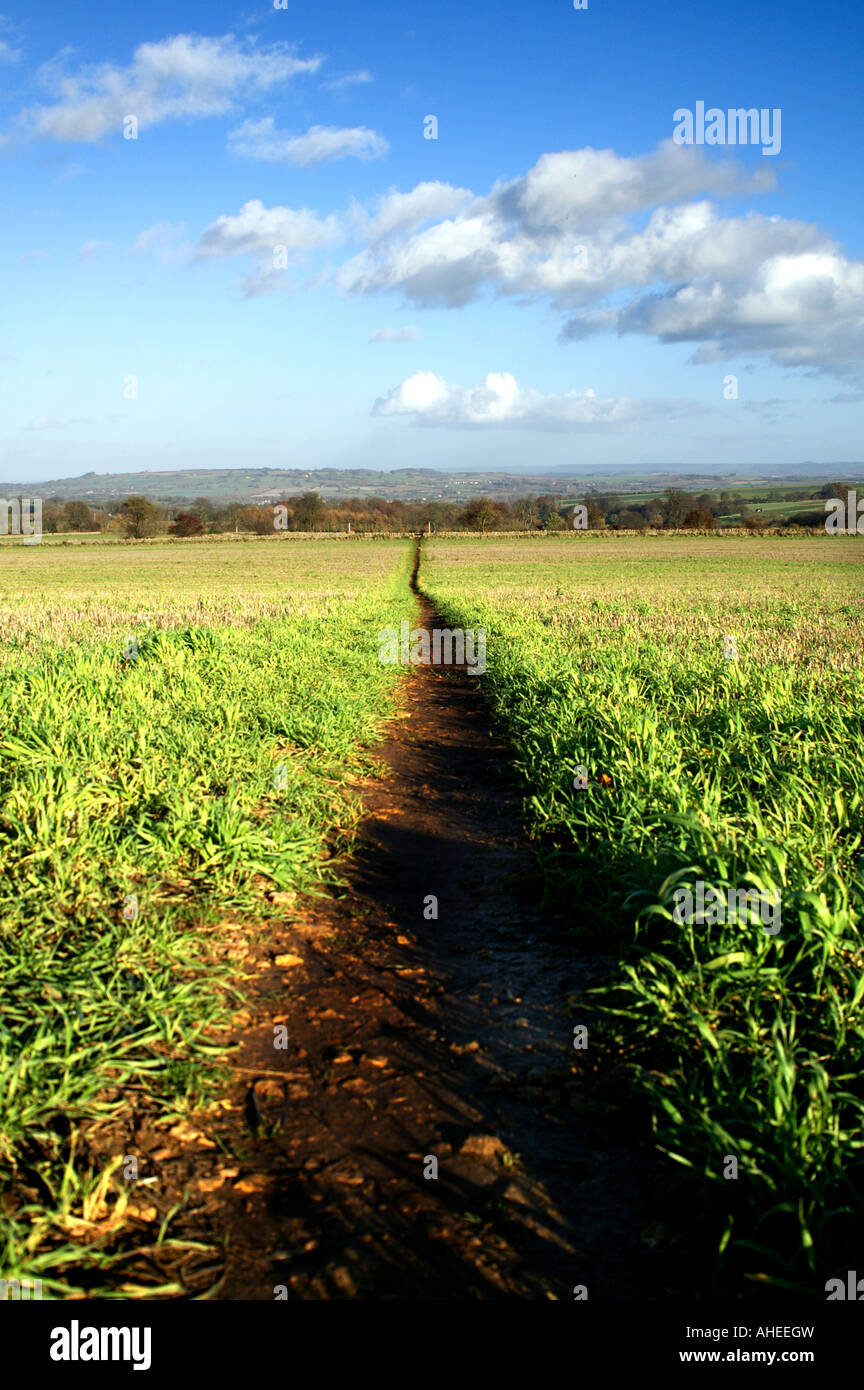 Cotswold footpath to Broadway Tower Stock Photo - Alamy