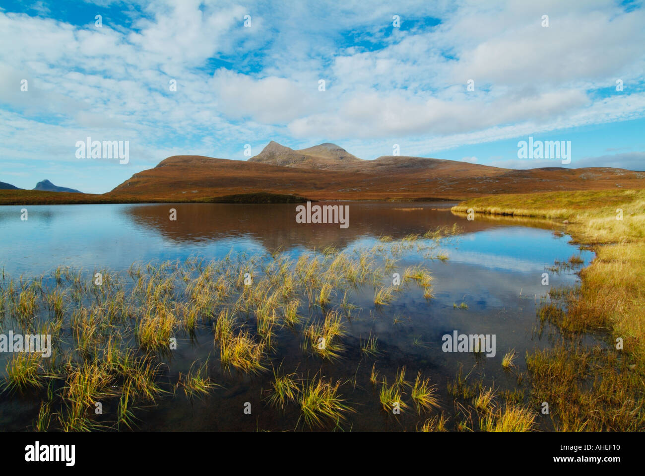 Reeds on small Scottish Lochan an Ais Sutherland Wester Ross North West ...