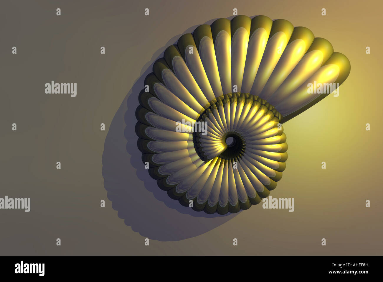 Fractal biology hi-res stock photography and images - Alamy