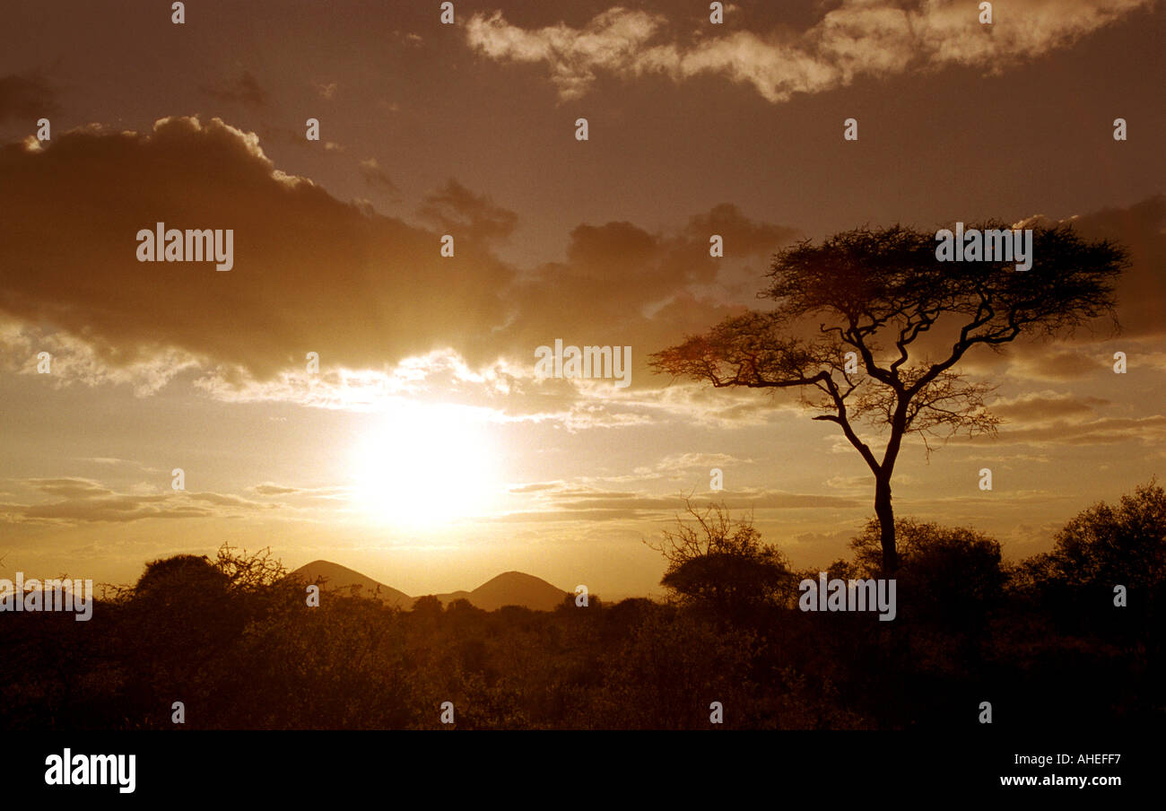 Sunset in Kenya East Africa Stock Photo - Alamy