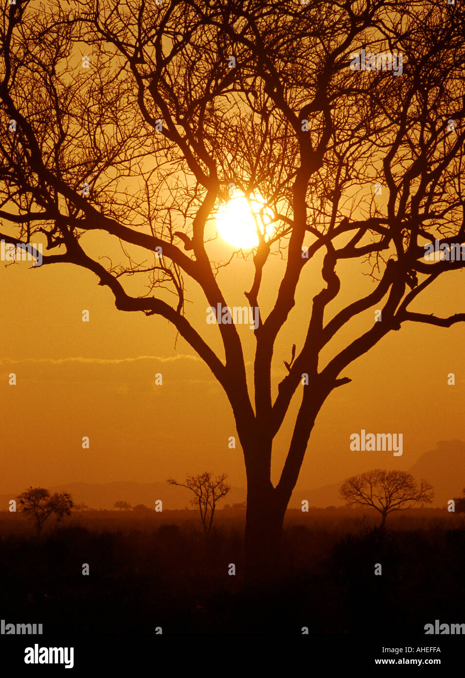 Sunset in Kenya East Africa Stock Photo - Alamy