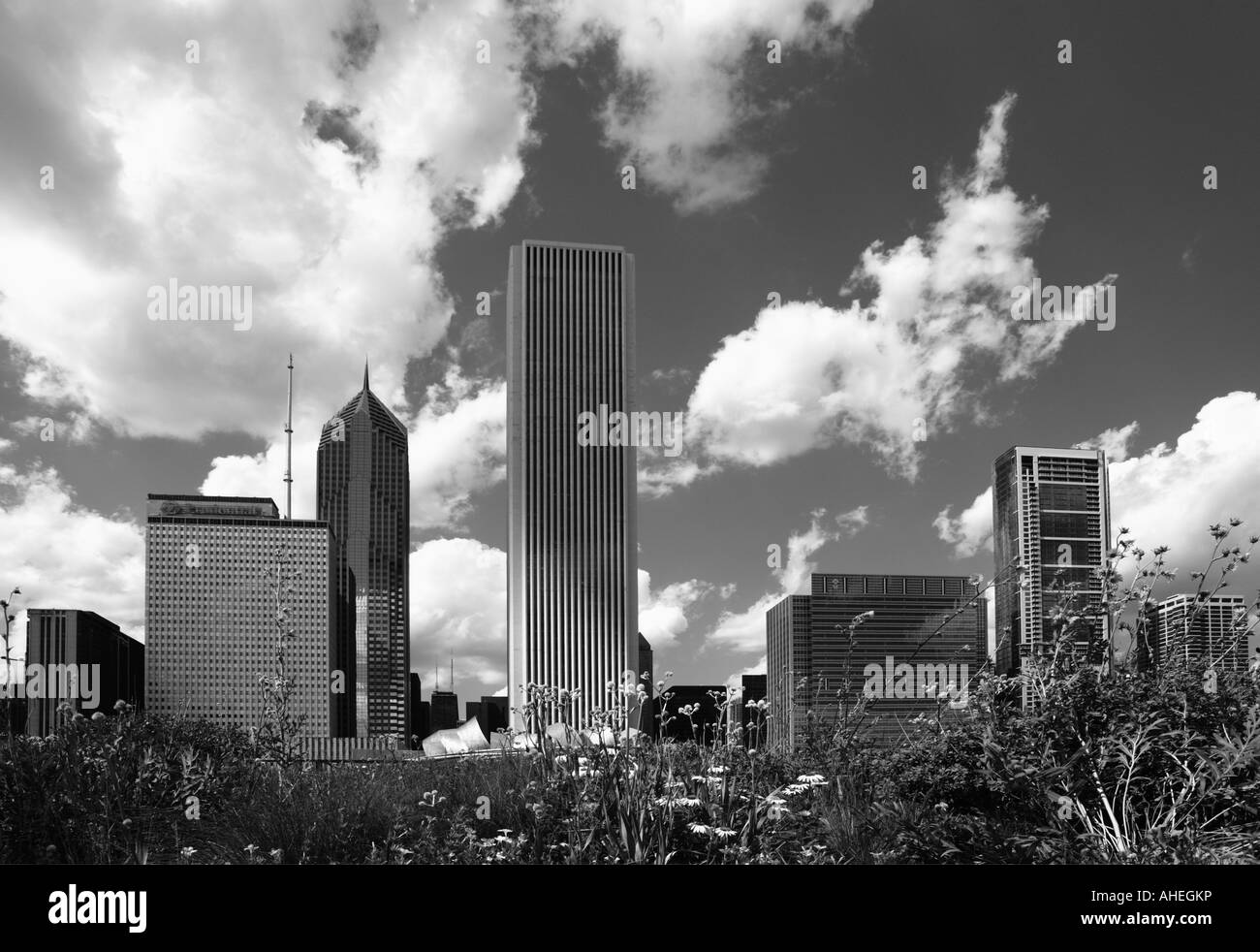 lakefront highrises chicago illinois Stock Photo - Alamy