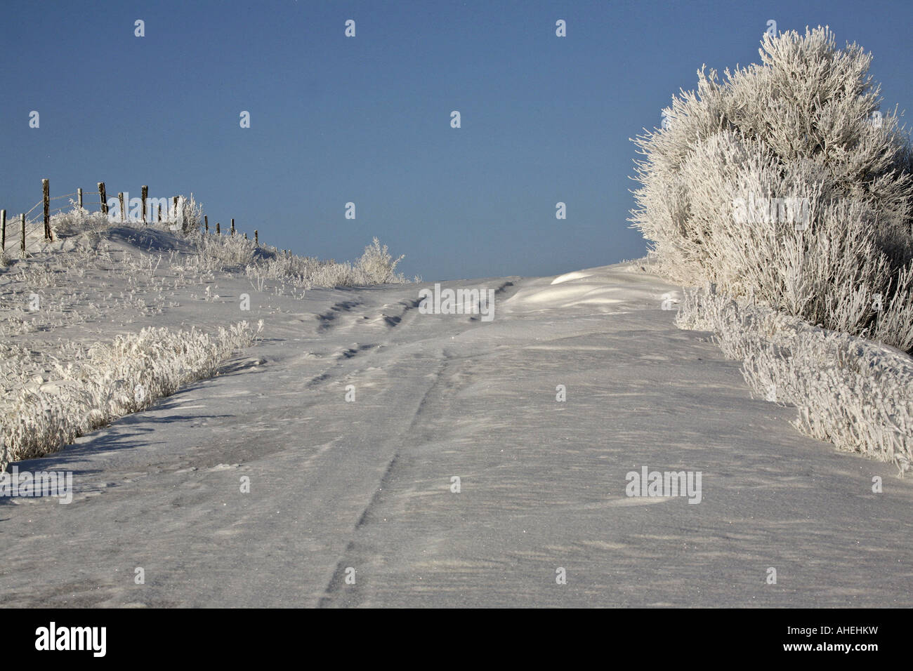 Hoar frost refers to the white ice crystals hi-res stock photography ...